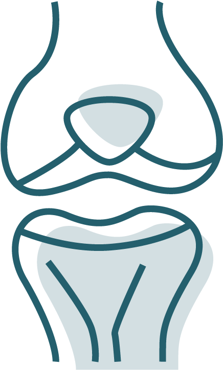 Download Knee PNG Image with No Background - PNGkey.com