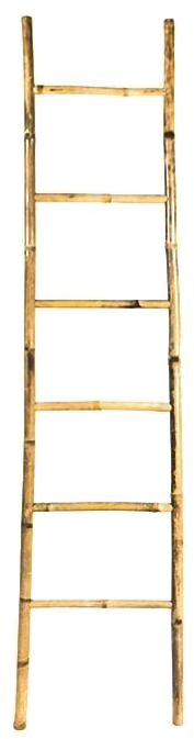 Download Step Ladder Png Image With Transparent Background - Cartoon ...