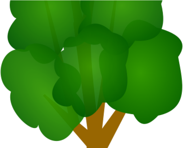 Tree Vector Png - Pohon Png - Free Transparent PNG Download - PNGkey