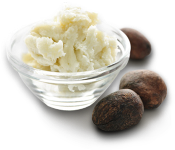 Download Shea Butter Png - Shea Butters PNG Image with No Background ...