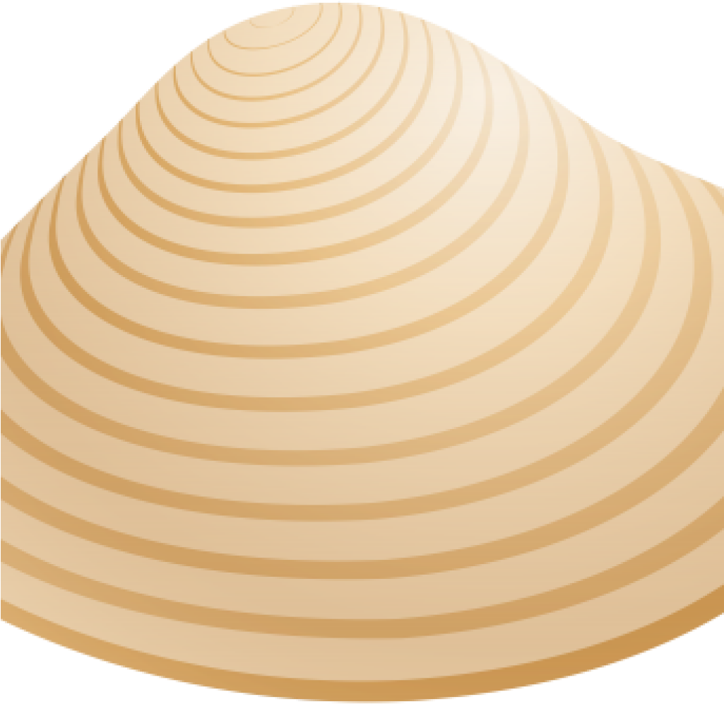Download Shell Clipart Sea Shell Png Clip Art Best Web Clipart - Clip ...