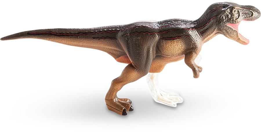 Download 4d Vision T-rex Anatomy Model - T Rex Anatomy PNG Image with ...