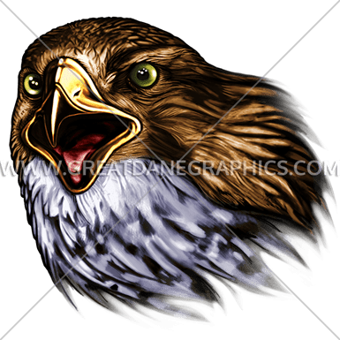 Download Falcon - Transparent Falcaon PNG Image with No Background ...