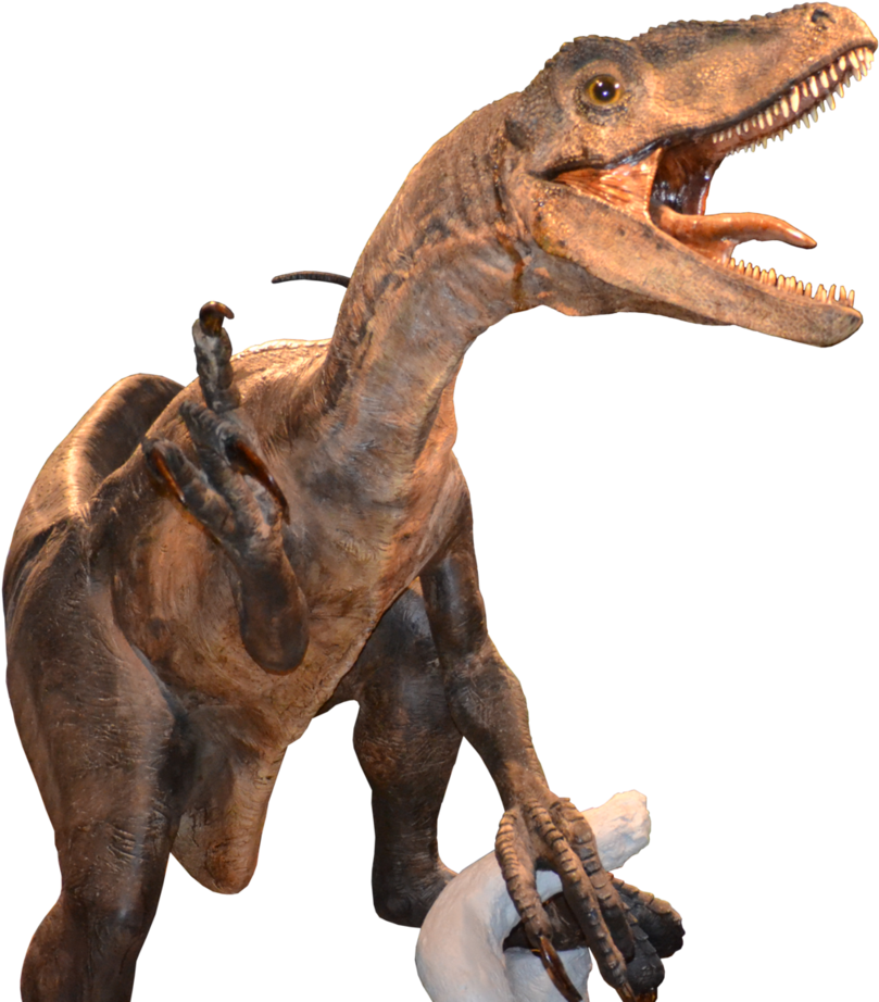Download Raptor Png Vector Download - Velociraptor PNG Image with No ...