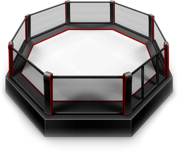 Download Mma Octagon Png - Клетка Мма PNG Image with No Background ...