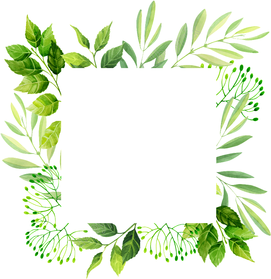 Vector Freeuse A Png Transparent Made Of Hand Painted - Fall Leaf ...