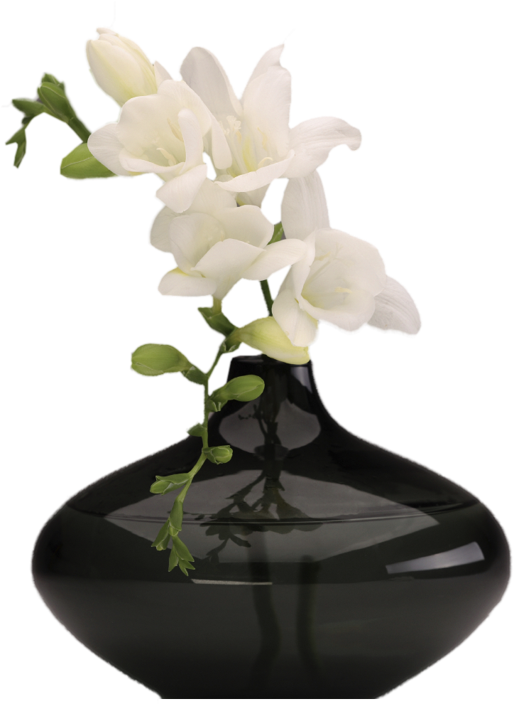 Download White Flower Vase Png PNG Image with No Background - PNGkey.com