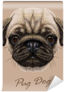 Vector Illustrative Portrait Of Pug Dog - Dog Face Transparent ...