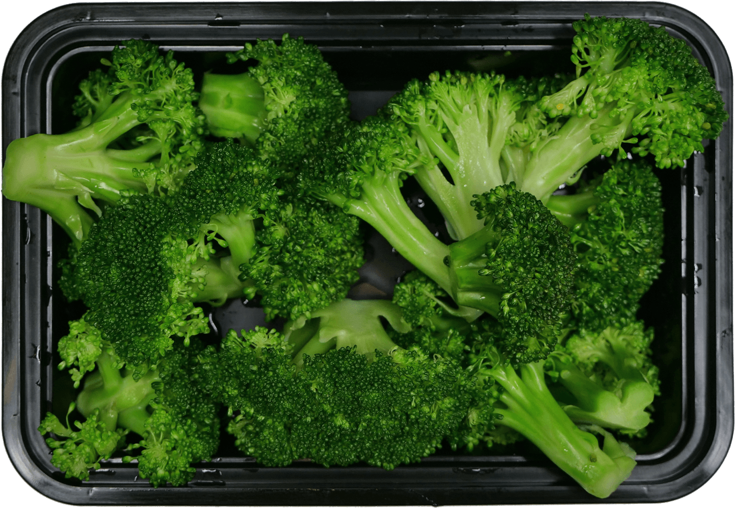 Download Broccoli PNG Image with No Background - PNGkey.com