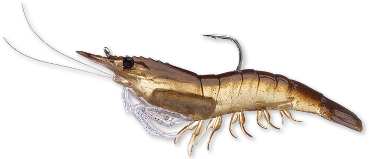 Download Koppers Live Target Shrimp Pre-rigged Soft Bait, 3 PNG Image ...