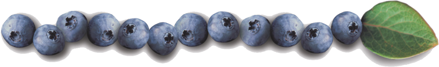 Helyn's Plant-based Kitchen » Blueberrylicious - Blueberry Border ...