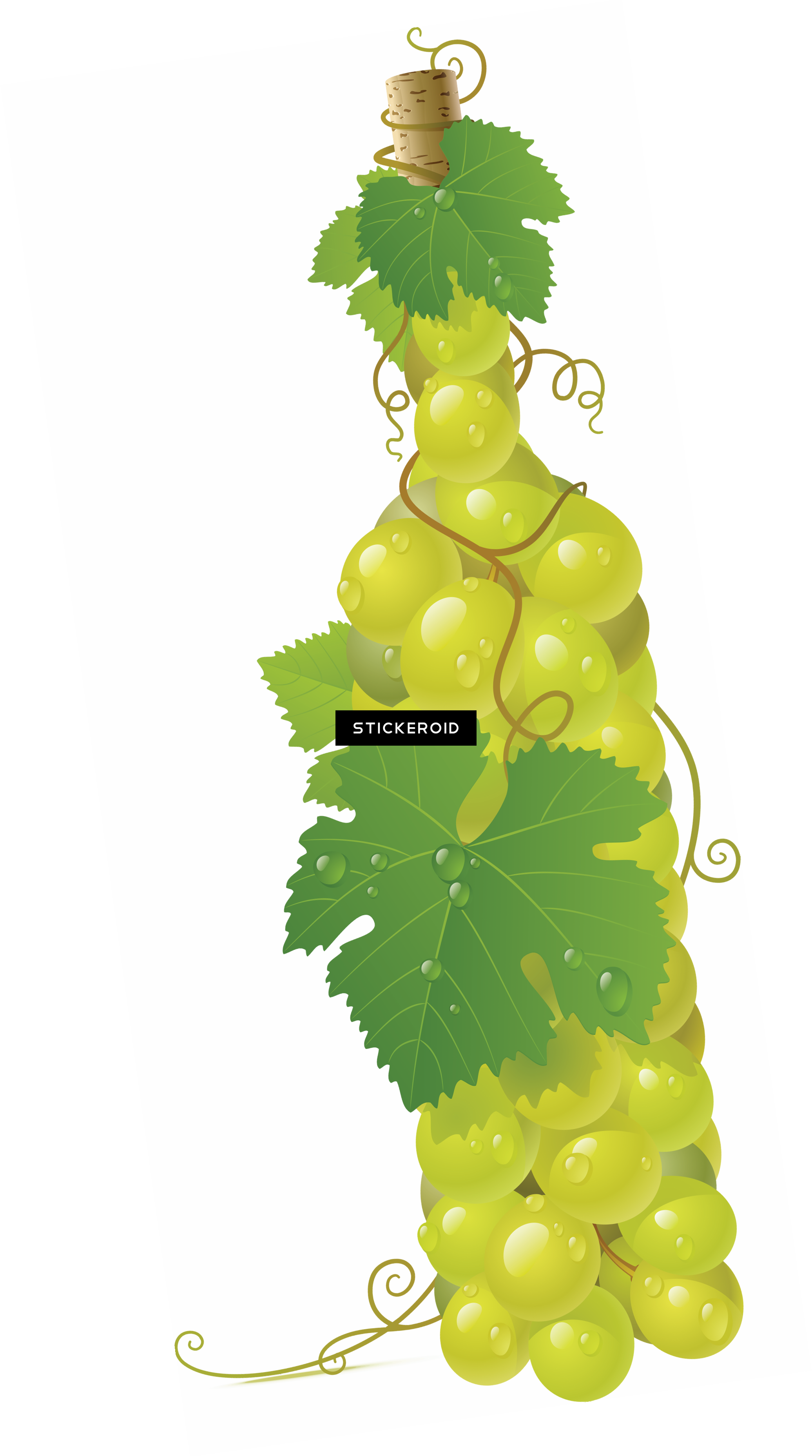 Download Grape - Grapes Vector PNG Image with No Background - PNGkey.com