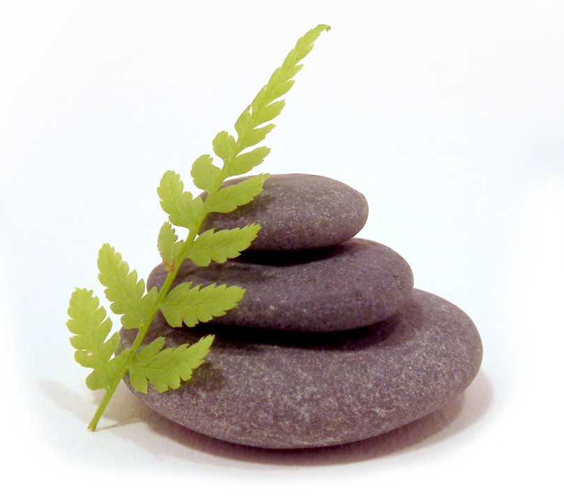 Download Zen Garden - Zen Garden Transparent PNG Image with No ...