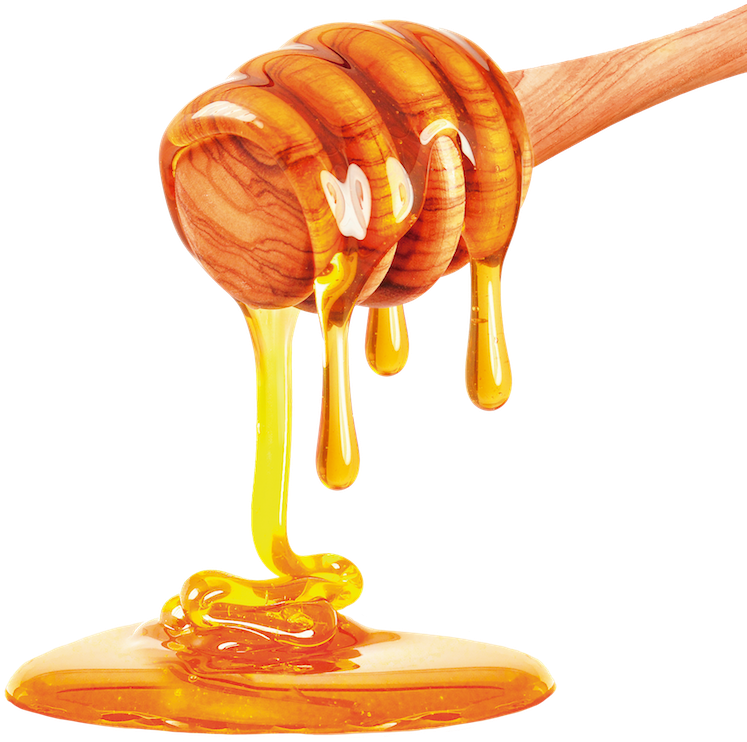 Honey Nut Cheerios Bee Png