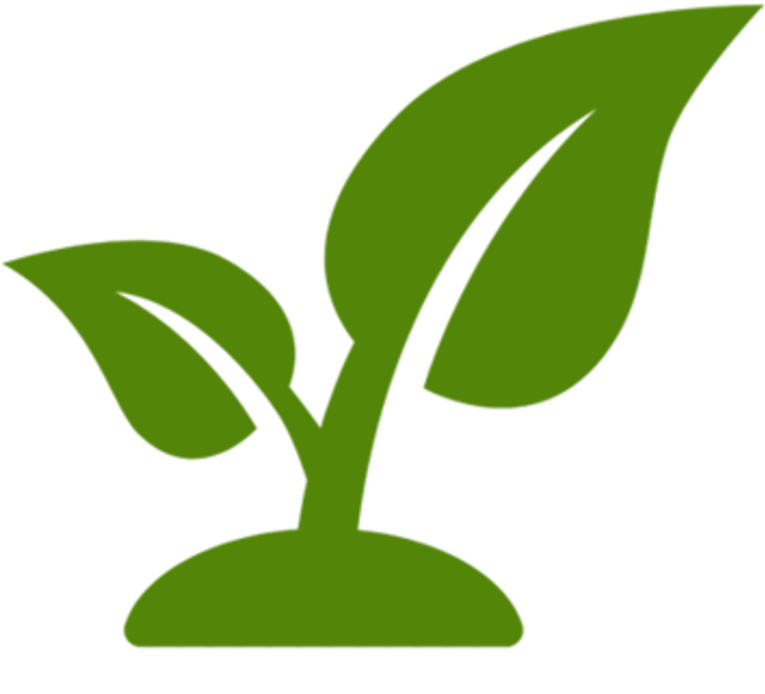 Plant Icon Png
