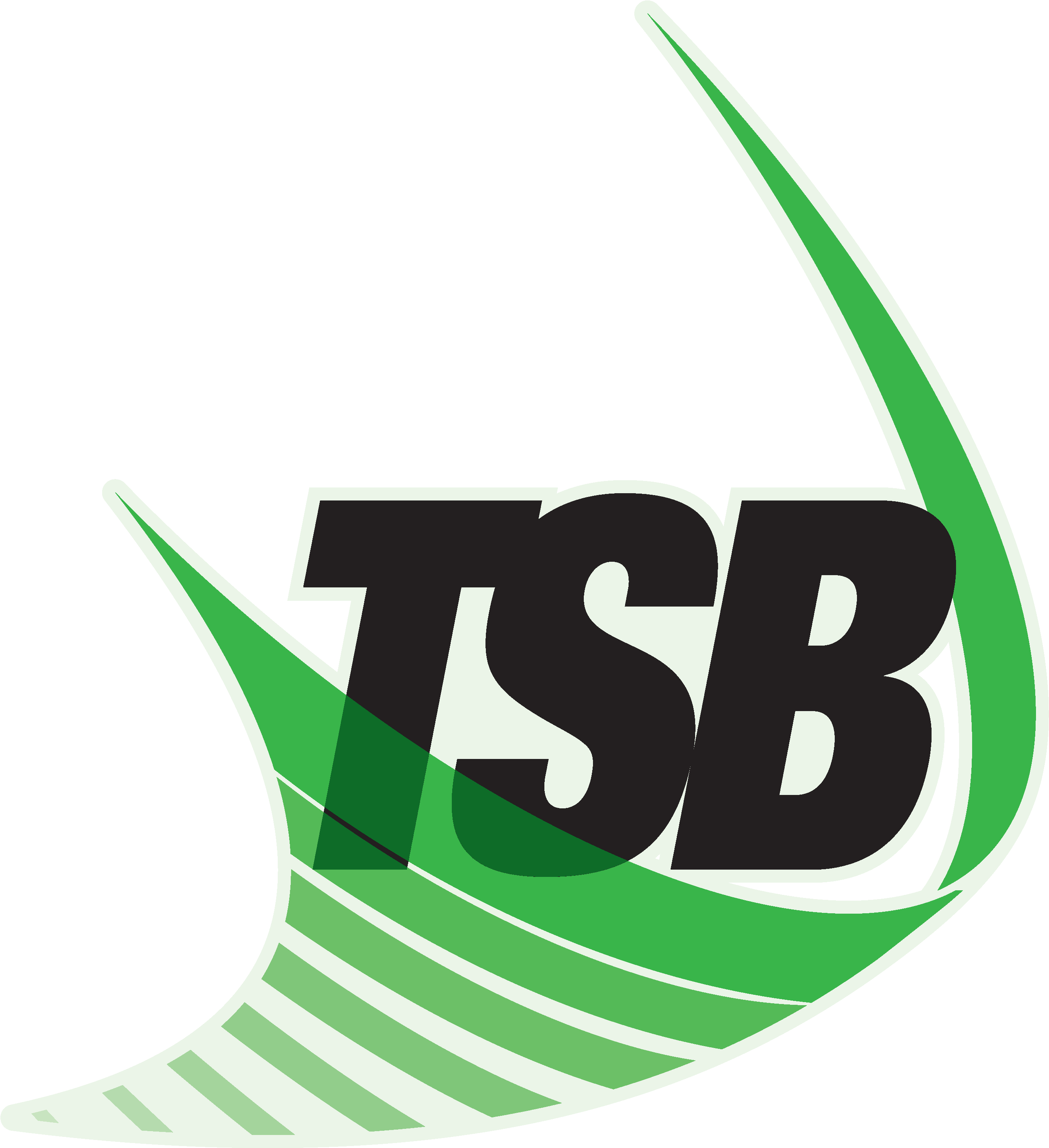 Download Tsb - Team Stickbug PNG Image with No Background - PNGkey.com