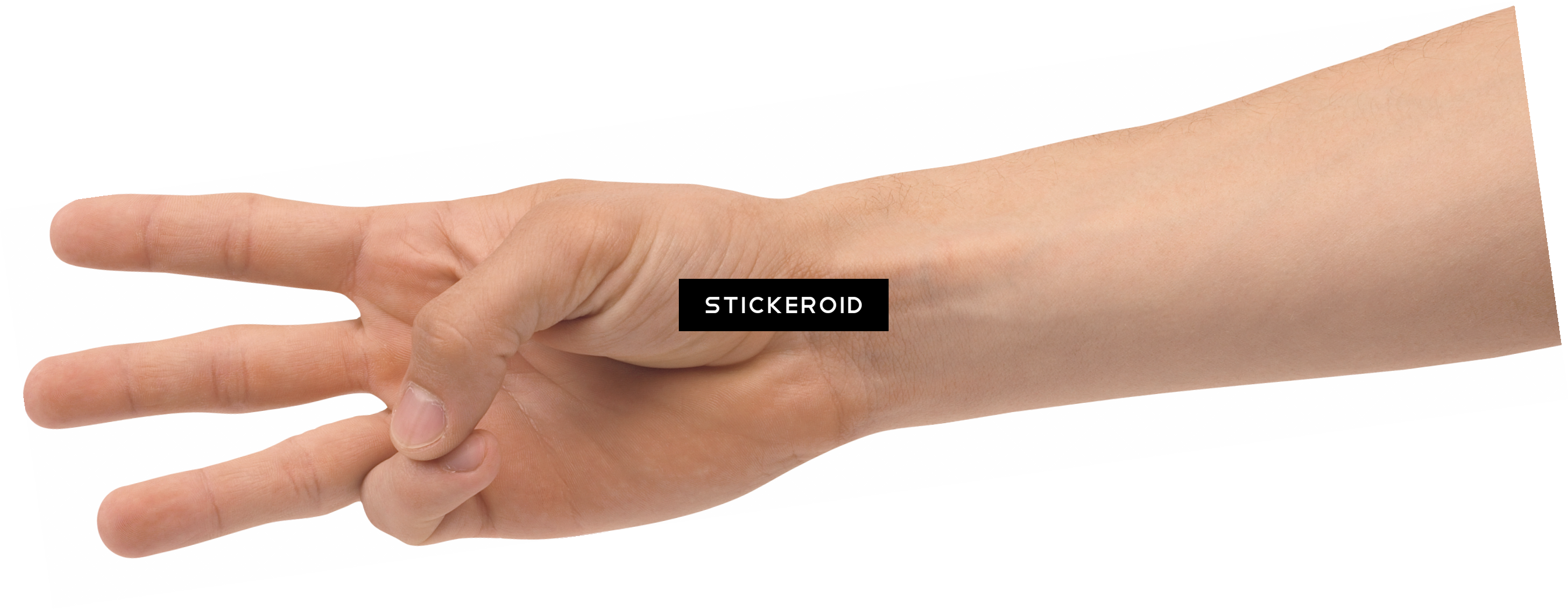 Download Hands Hand People - Heel PNG Image with No Background - PNGkey.com