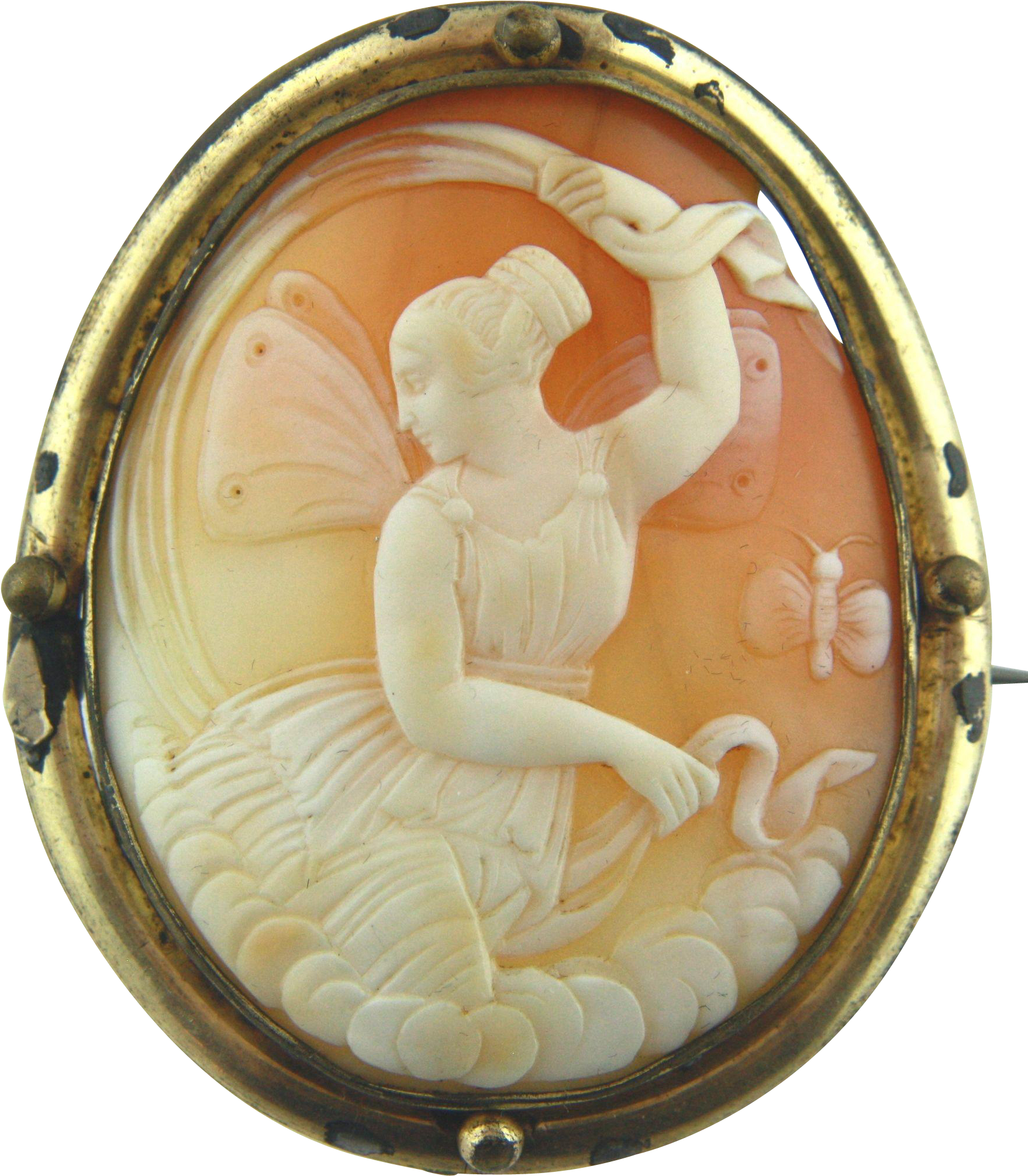 Large Victorian Shell Cameo Of Psyche - Carving - Free Transparent PNG ...