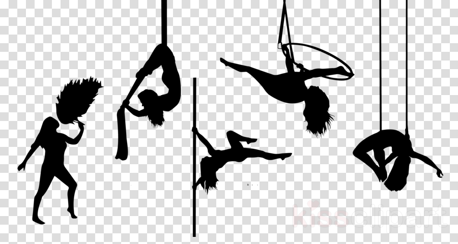 Download Aerial Yoga Png Clipart Aerial Silk Performing Arts - Aerial ...