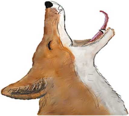 Download He Shouted To All The Ones Chasing Him, “i've Ran As - Fox Ate ...