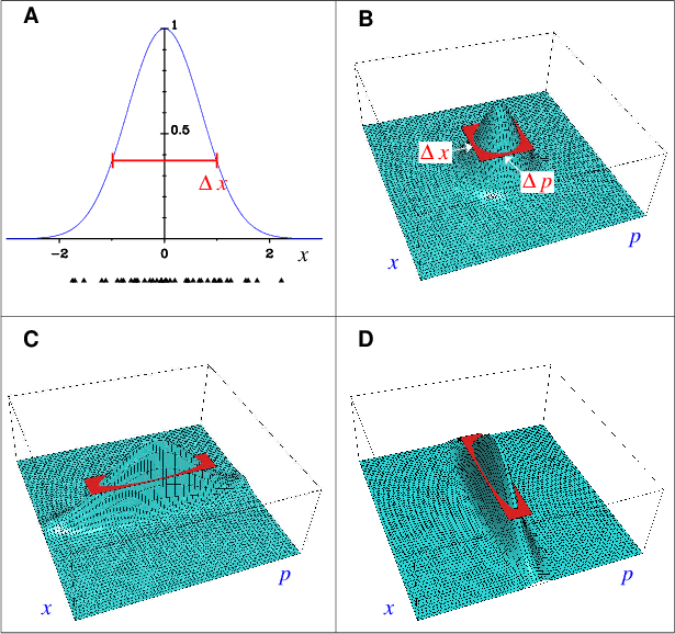 Download The Heisenberg Uncertainty Relation - Uncertainty Principle ...