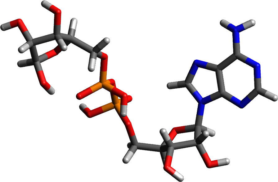 Download Three-dimensional Model Of Adp Ribose - Adenosine Diphosphate ...