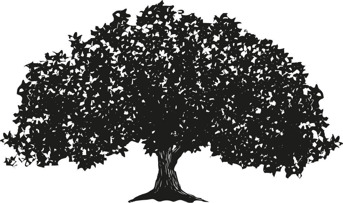 Download High Standard Manufacturing Company PNG Image with No ...