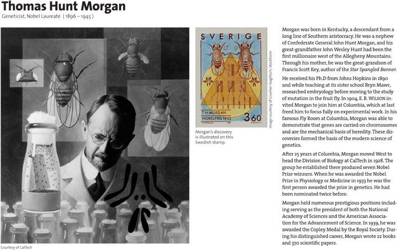 Download Geneticist, Nobel Laureate , Download (1 - Thomas Hunt Morgan ...