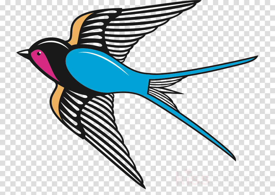 Download Swallow Clipart Swallow Bird Clip Art - Transparent Background ...