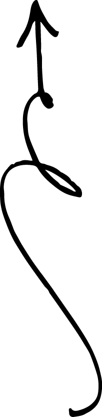 Download Long Curly Arrow Clip Art Library Kiralee - Transparent ...