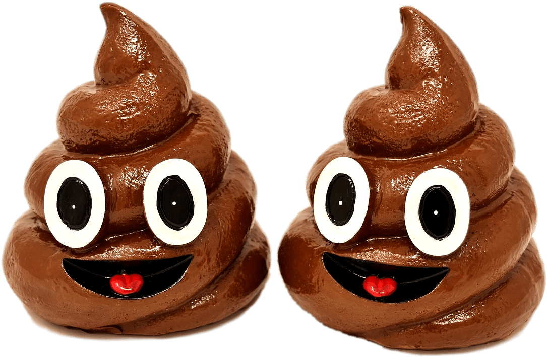 Download Icons Logos Emojis - Human Faeces PNG Image with No Background ...