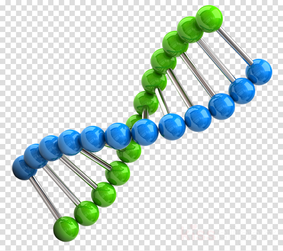 Chromosome Png Clipart Chromosome Dna - Science Fair Project On ...
