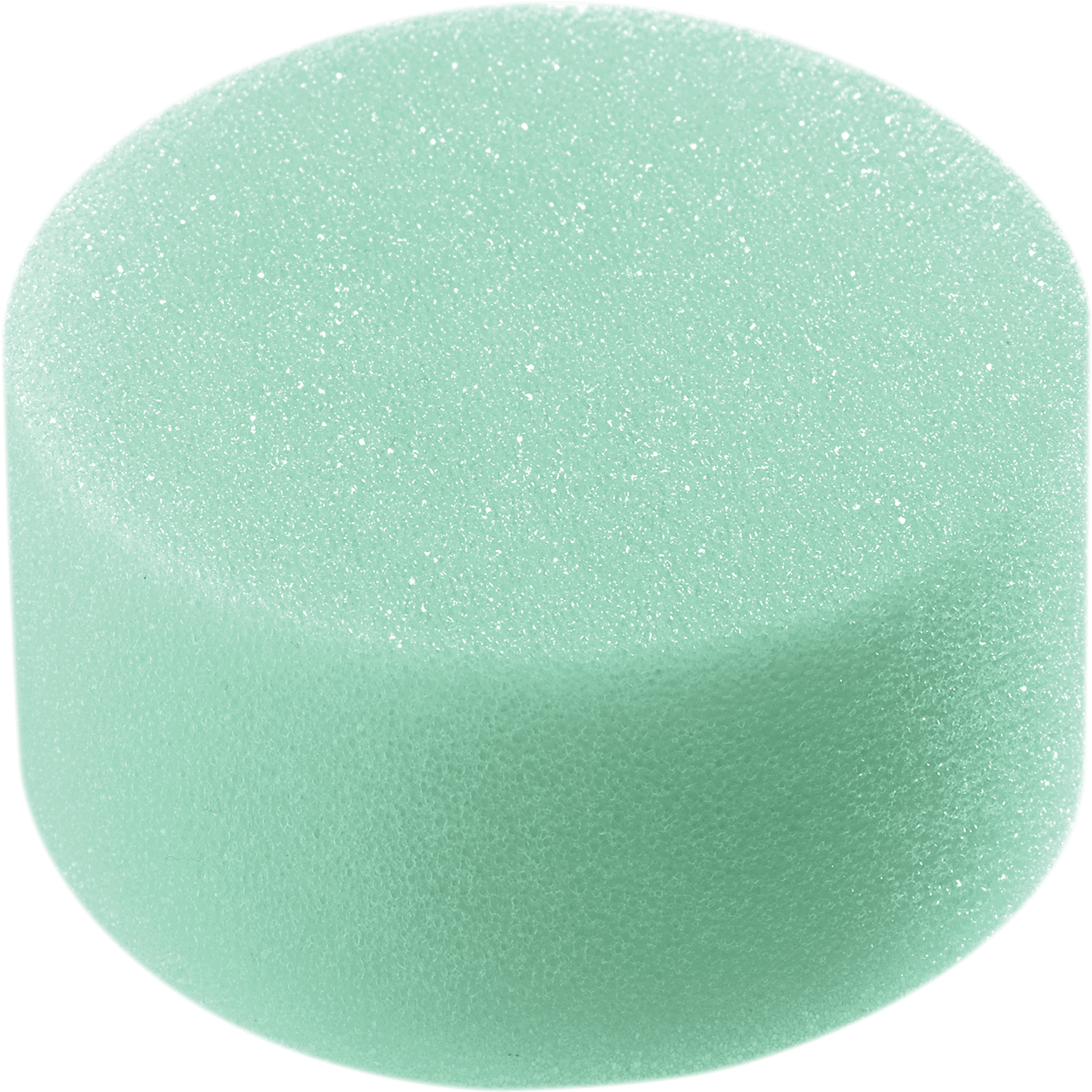 Download Round Sponge PNG Image with No Background - PNGkey.com