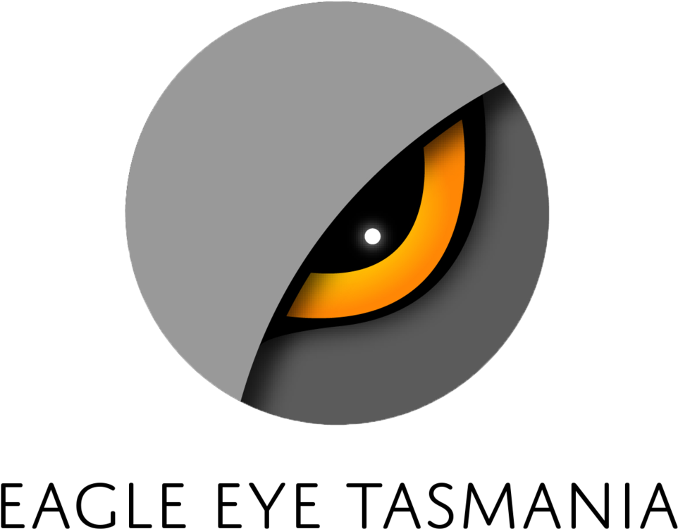 Download Eagle Eye Png - Eagle Eye PNG Image with No Background ...