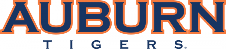 Auburn Tigers Iron Ons - Orange And Blue Tiger Stripes - Free ...