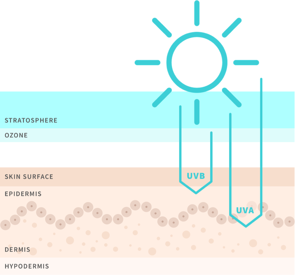 Download Sun Care Image - Simple Sun Vector PNG Image with No ...