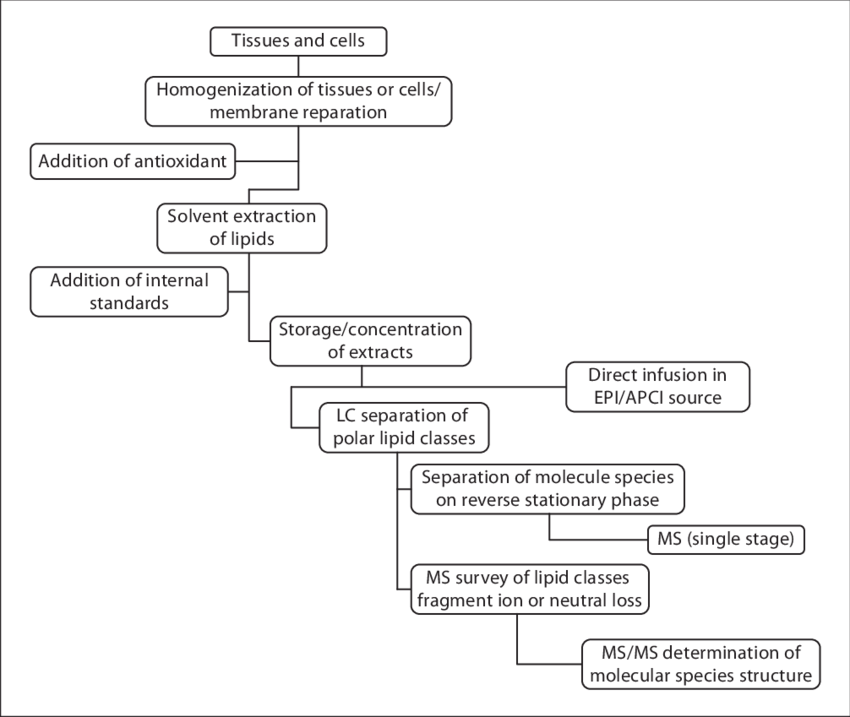 A Flow Diagram Of The Overall Lipidomics Procedure - Diagram - Free ...