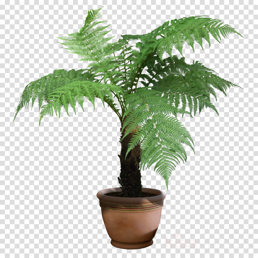 Download Plants Png Transparent Clipart Houseplant Indoor Plants ...