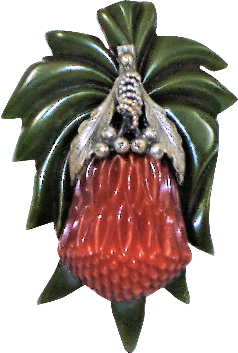 Download This Vintage 1930s Bakelite Carved Thistle Dress Clip PNG ...