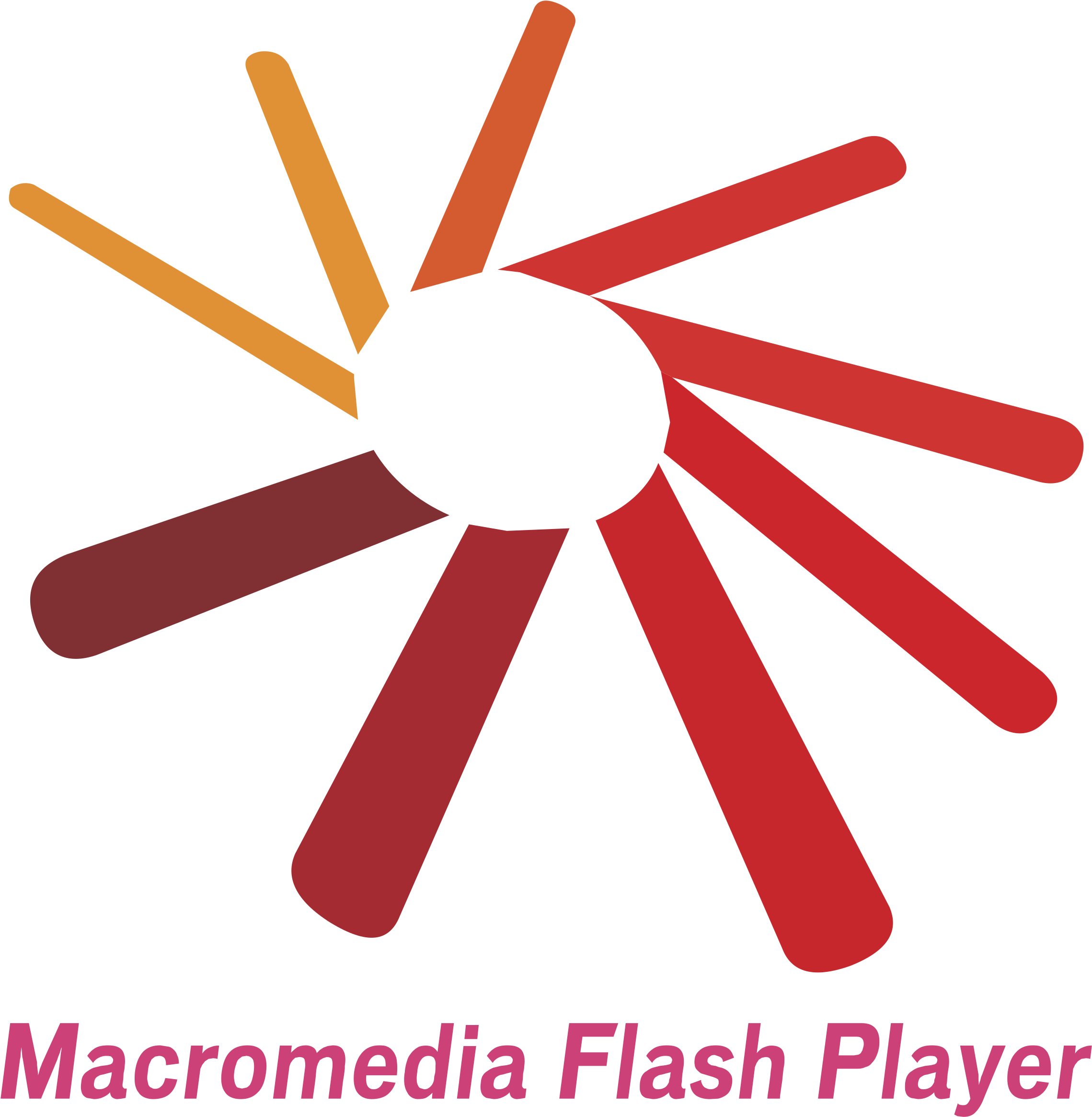 Download Macromedia Flash Player Logo Png Transparent - Macromedia ...