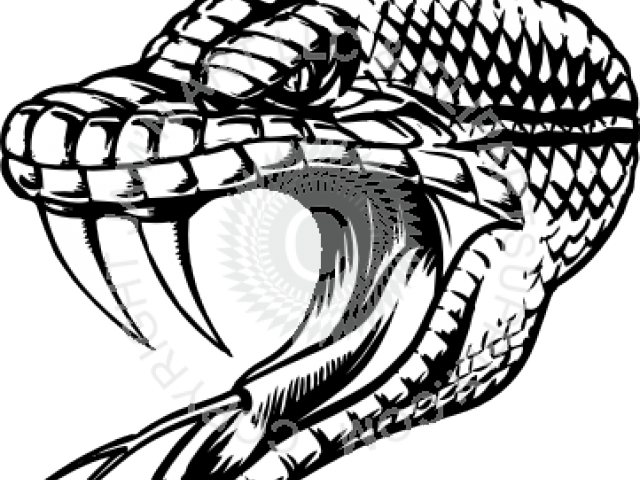Download Snake Head PNG Image with No Background - PNGkey.com