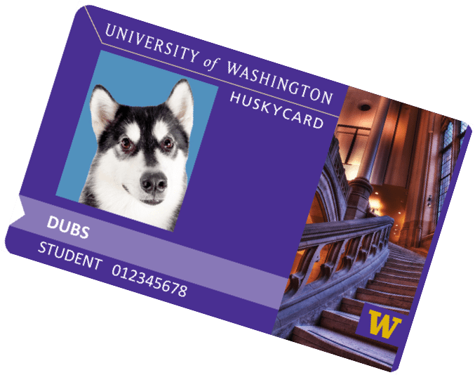 Getting Your Husky Card - Free Transparent PNG Download - PNGkey