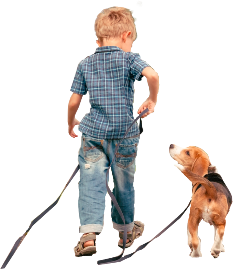 Download Panhandle Community Theatre (pct) PNG Image with No Background ...