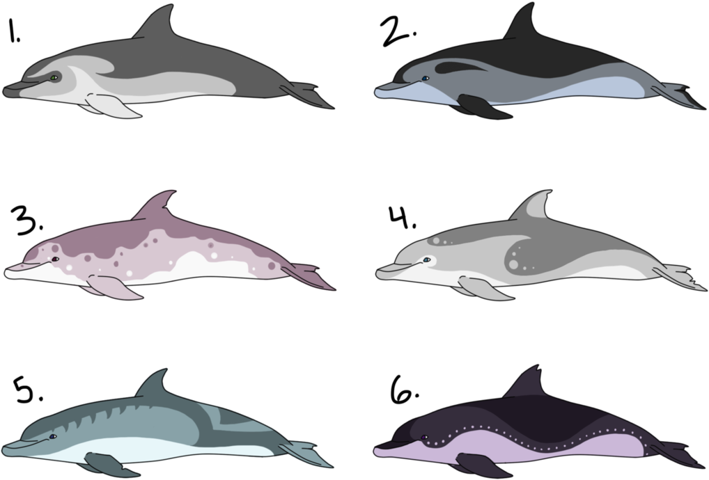 Download Banner Free Download Bottlenose Dolphin Adoptables - Dolphin ...