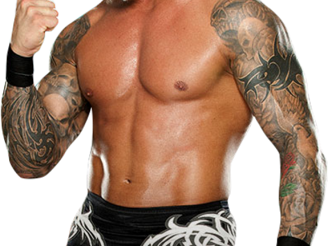 Download Ex Tna En Wwe PNG Image with No Background - PNGkey.com