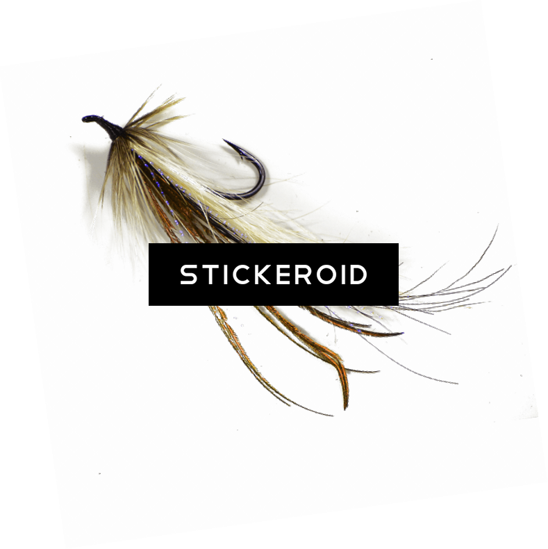 Download Fish Fly - Calligraphy PNG Image with No Background - PNGkey.com