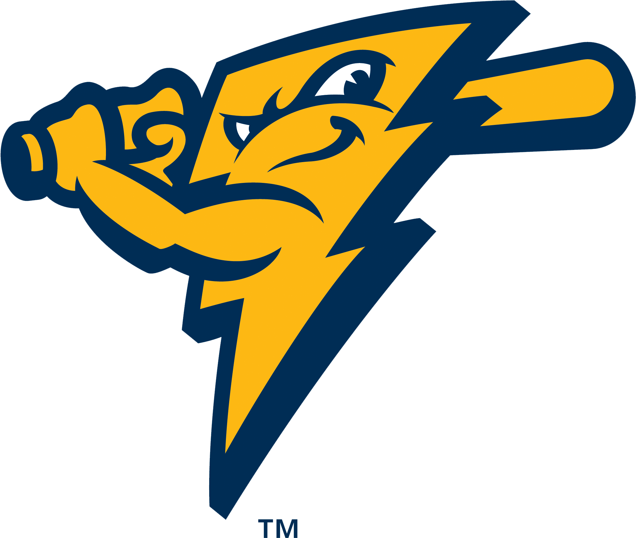 Download Trenton Thunder Alternate Logo PNG Image with No Background ...