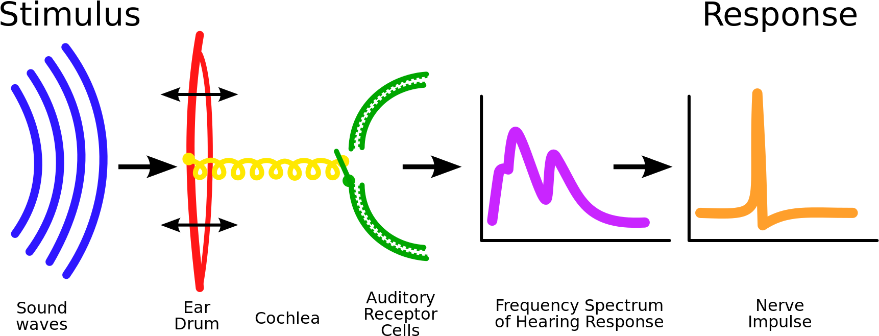 Download Open - Sound Processing PNG Image with No Background - PNGkey.com