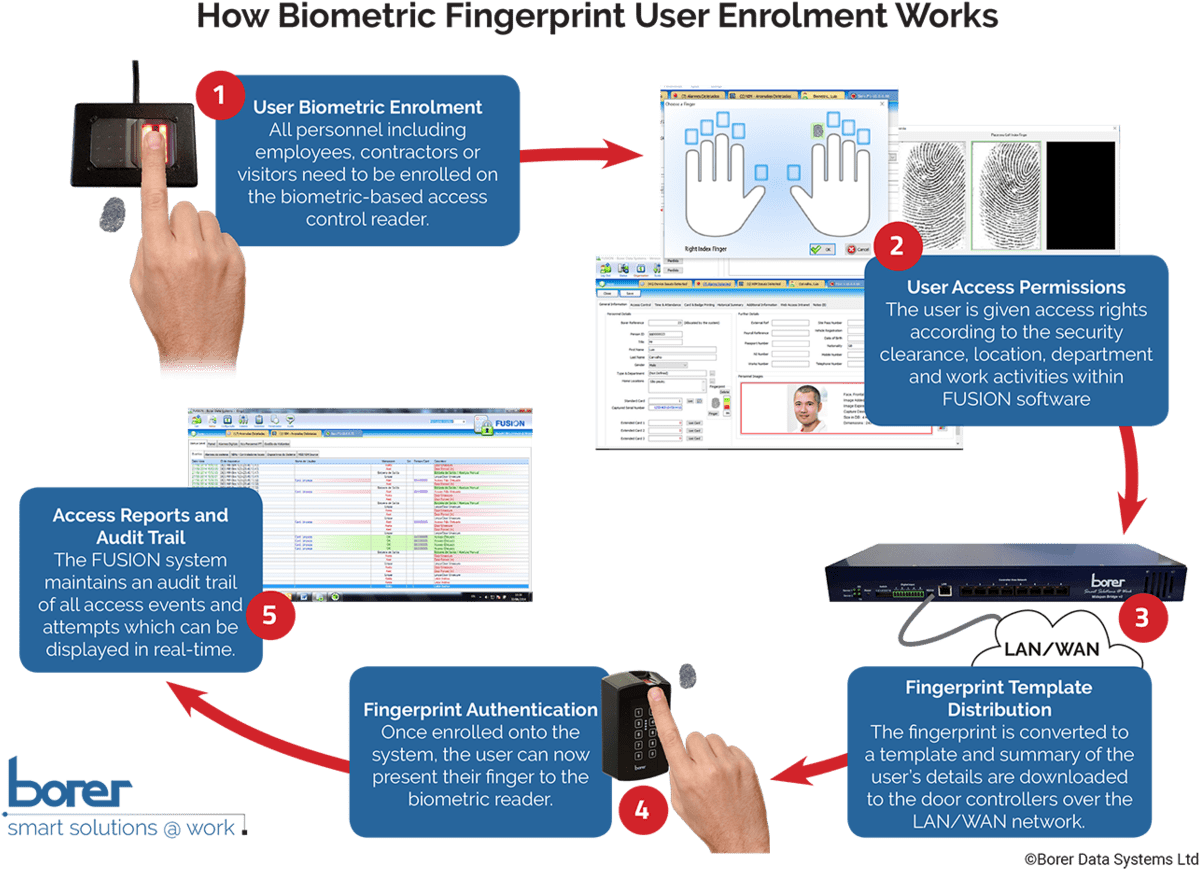 Download Biometric Enrolment - Biometric Works PNG Image with No ...