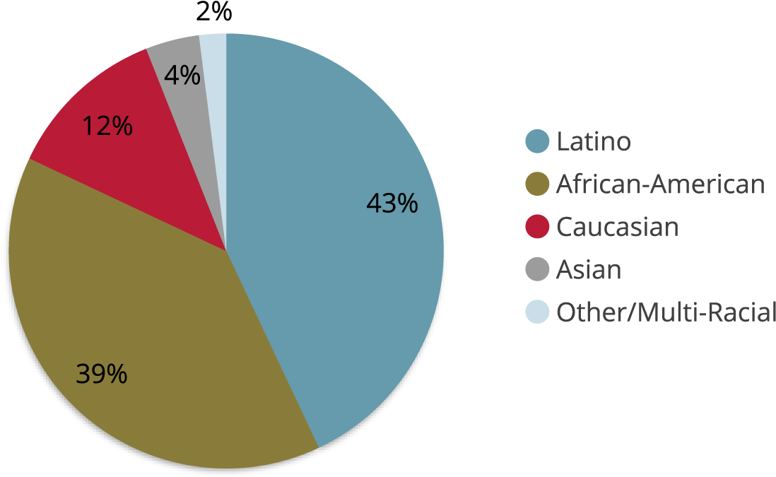 An Illustrated Pie Chart Depicting The Race & Ethnicity - Oil - Free ...